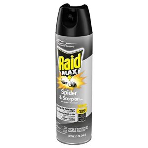 Raid Max Max Spider & Scorpion Killer - 12 oz - 2 pk