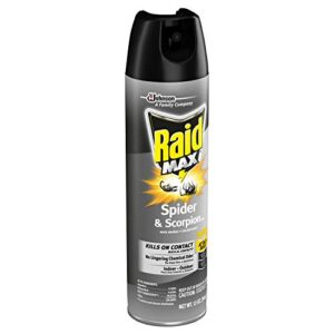 Raid Max Max Spider & Scorpion Killer - 12 oz - 2 pk