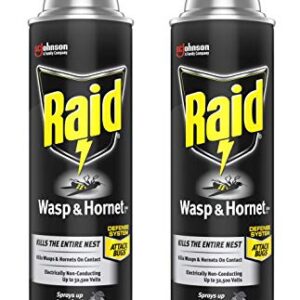 Raid Wasp and Hornet Killer (Pack - 2)