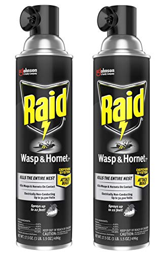 Raid Wasp and Hornet Killer (Pack - 2)