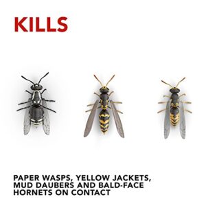 Raid Wasp and Hornet Killer (Pack - 2)