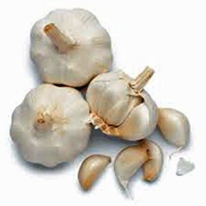 garlic bulb (3 pack), fresh california softneck garlic bulb for planting and growing your own garlic, buy country creek brand only not fakes