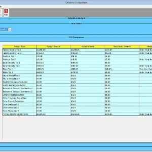 Budget Planner 3.0 [Download]