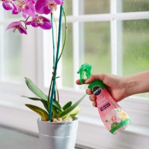 Miracle-Gro Orchid Plant Food Mist Rtu4