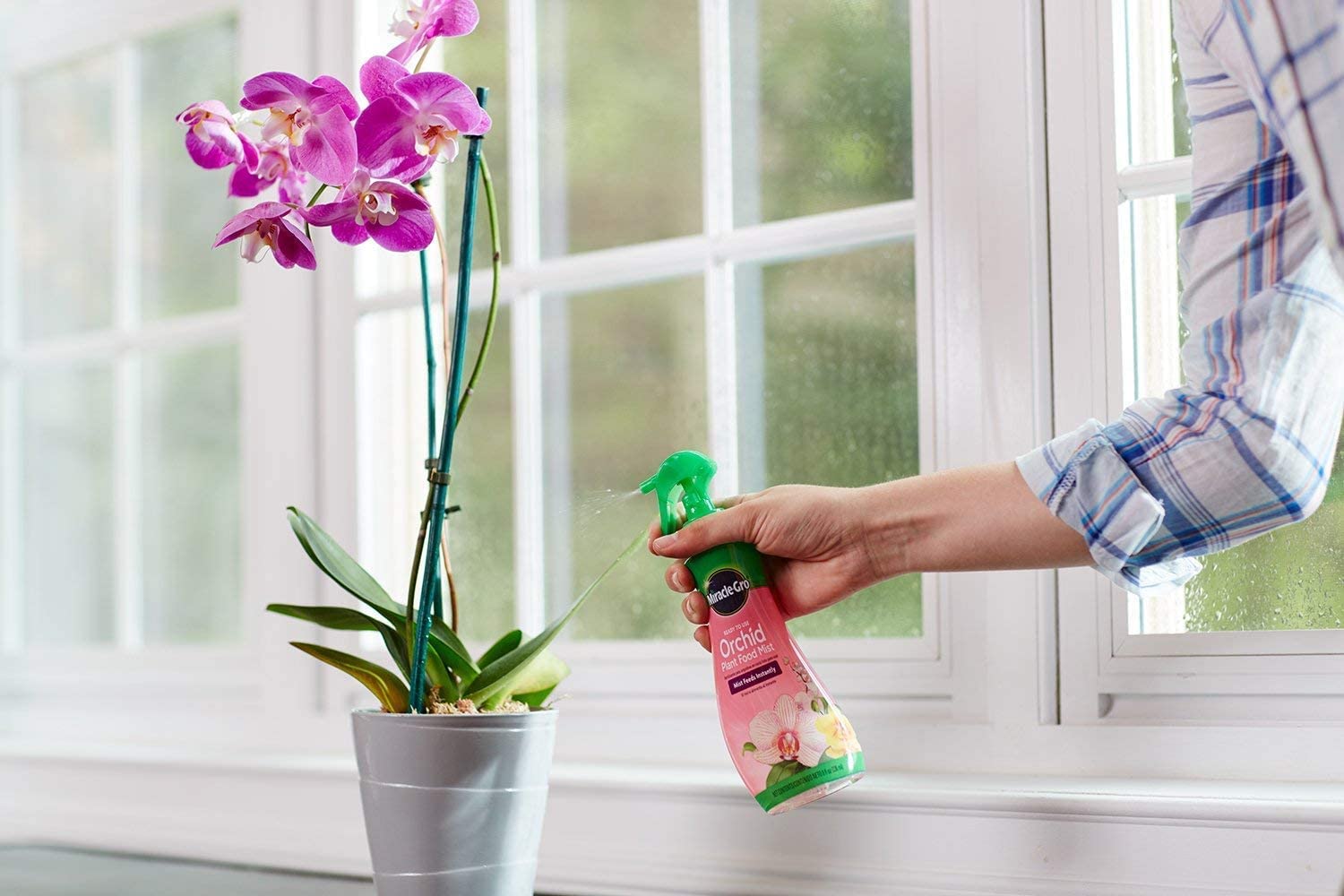 Miracle-Gro Orchid Plant Food Mist Rtu4