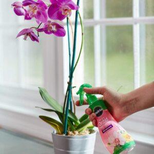 Miracle-Gro Orchid Plant Food Mist Rtu4