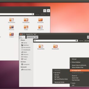 Ubuntu Linux 14.04 "Trusty Tahr" on Bootable 16GB USB Flash Drive and DVD - Both 32-bit and 64-bit Included!