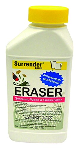 Martin's Eraser Weed & Grass Killer Concentrate 1pt