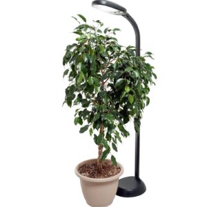 AgroBrite Hydrofarm FLF27DF 27-watt CFL, Black Floor Plant Light