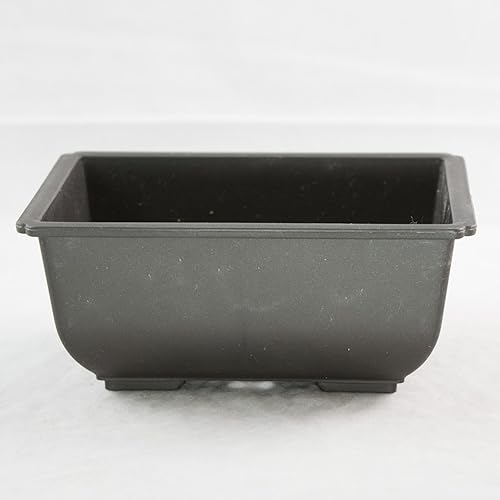 3 Rectangular Plastic Bonsai Training Pot, Cactus & Succulent Planter - 5.75 x 4.25 x 2.5