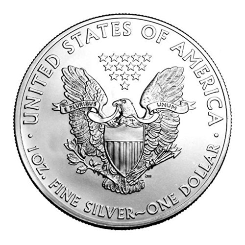 2010 No Mint Mark 2010 American Silver Eagle Dollar Seller Choice Uncirculated