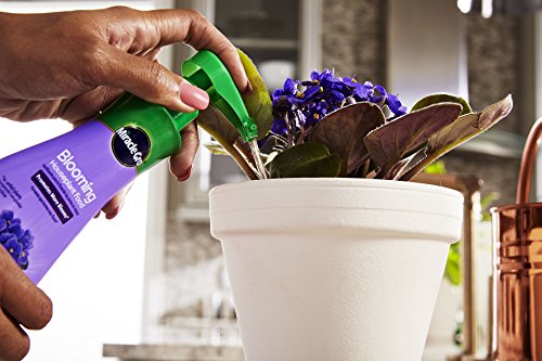 Miracle-Gro Blooming Houseplant Food, 8 oz., Plant Food Feeds All Flowering Houseplants Instantly, Including African Violets