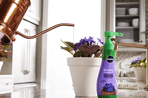 Miracle-Gro Blooming Houseplant Food, 8 oz., Plant Food Feeds All Flowering Houseplants Instantly, Including African Violets