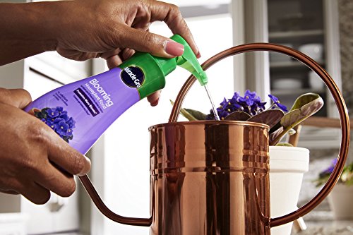 Miracle-Gro Blooming Houseplant Food, 8 oz., Plant Food Feeds All Flowering Houseplants Instantly, Including African Violets