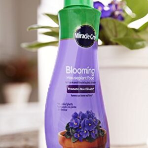 Miracle-Gro Blooming Houseplant Food, 8 oz., Plant Food Feeds All Flowering Houseplants Instantly, Including African Violets