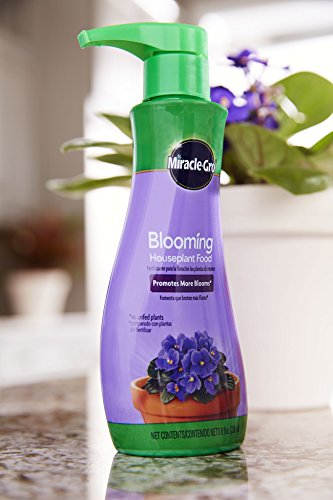 Miracle-Gro Blooming Houseplant Food, 8 oz., Plant Food Feeds All Flowering Houseplants Instantly, Including African Violets