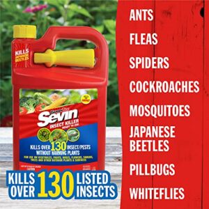 Sevin 100519576 Ready-to-Use Bug Killer 1 gal, 1 Gallon RTU