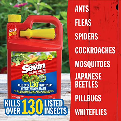 Sevin 100519576 Ready-to-Use Bug Killer 1 gal, 1 Gallon RTU