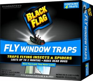 black flag fly trap