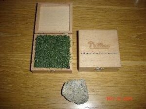 philadephia phillies authentic veterans stadium turf memorabilia 2004 & concrete