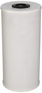 pentair pentek rffe10-bb big blue water filter, 10-inch, whole house radial flow iron reduction replacement cartridge, 10" x 4.5"