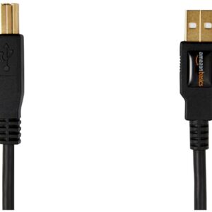 Amazon Basics USB-A to USB-B 2.0 Cable for Printer or External Hard Drive, Gold-Plated Connectors, 10 Foot, Black