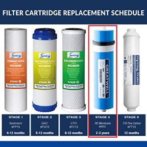 iSpring MS5 500GPD Reverse Osmosis (RO) Membrane Replacement 3.0" x 11.7", Fits RCS5T, Updated Version