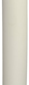 Doulton Ultracarb 10" Water Filter Candle, 2-pack (W9123053)