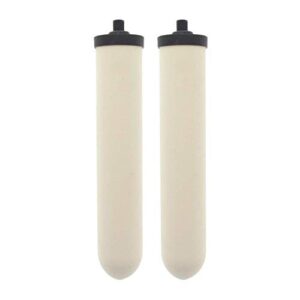 Doulton Ultracarb 10" Water Filter Candle, 2-pack (W9123053)