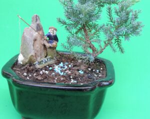 fisherman with dangling fish juniper bonsai tree sold by jm bamboo