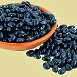 Bean Seed, Black Turtle Bush Bean, Heirloom, Non GMO, 100 Seeds, Terrific Black Beans