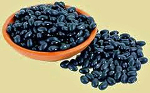 Bean Seed, Black Turtle Bush Bean, Heirloom, Non GMO, 100 Seeds, Terrific Black Beans