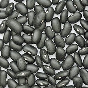 Bean Seed, Black Turtle Bush Bean, Heirloom, Non GMO, 100 Seeds, Terrific Black Beans