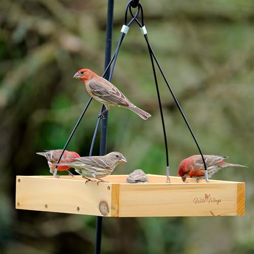 Wild Wings WWCF23 Cedar Tray Bird Feeder