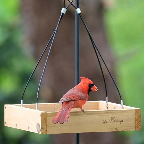 Wild Wings WWCF23 Cedar Tray Bird Feeder