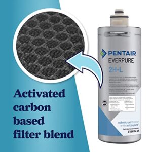 Everpure 2H-L | Aquverse A100 | Pentair S-54 Replacement Filter Cartridge for Water Cooler | NSF Certified | 2-Pack