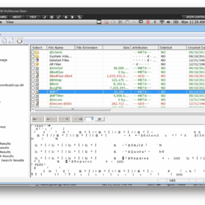 Learning Computer Forensics [Online Code]