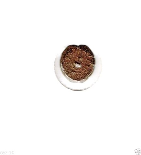 Ancient Roman Herod Prutah of The Holy Land Coin with Certificate and Album