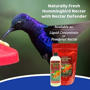 Sapphire Labs Naturally Fresh Hummingbird Nectar with Nectar Defender Lasts Longer in Hummingbird Feeders | Makes 96 oz of Clear Hummingbird Nectar | an Easy Mix Hummingbird Nectar Powder