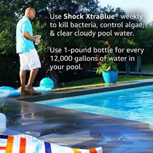 Clorox Pool&Spa Shock XtraBlue 1 lb