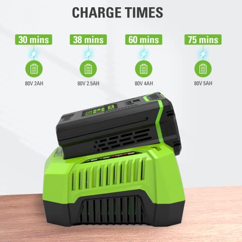 Greenworks PRO 80V Rapid Charger (Genuine Greenworks Charger)