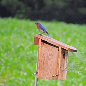 Flowing River Farm- Bird House Wire Entrance Predator Guard