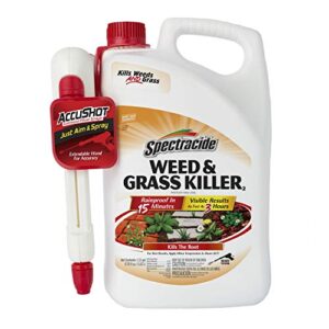 spectracide weed and grass killer, pack of 1