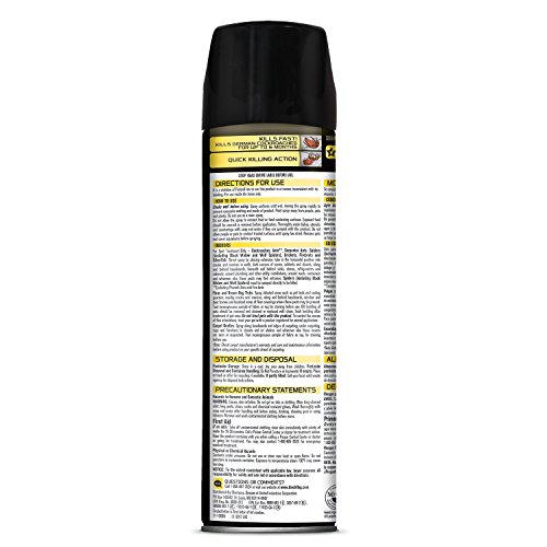 Black Flag Dry Ant And Roach Killer 9 Ounces, Aerosol Spray, Dry Formula, Plain, 1-Count