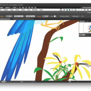 Learning Adobe Illustrator CC [Online Code]