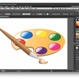 Learning Adobe Illustrator CC [Online Code]