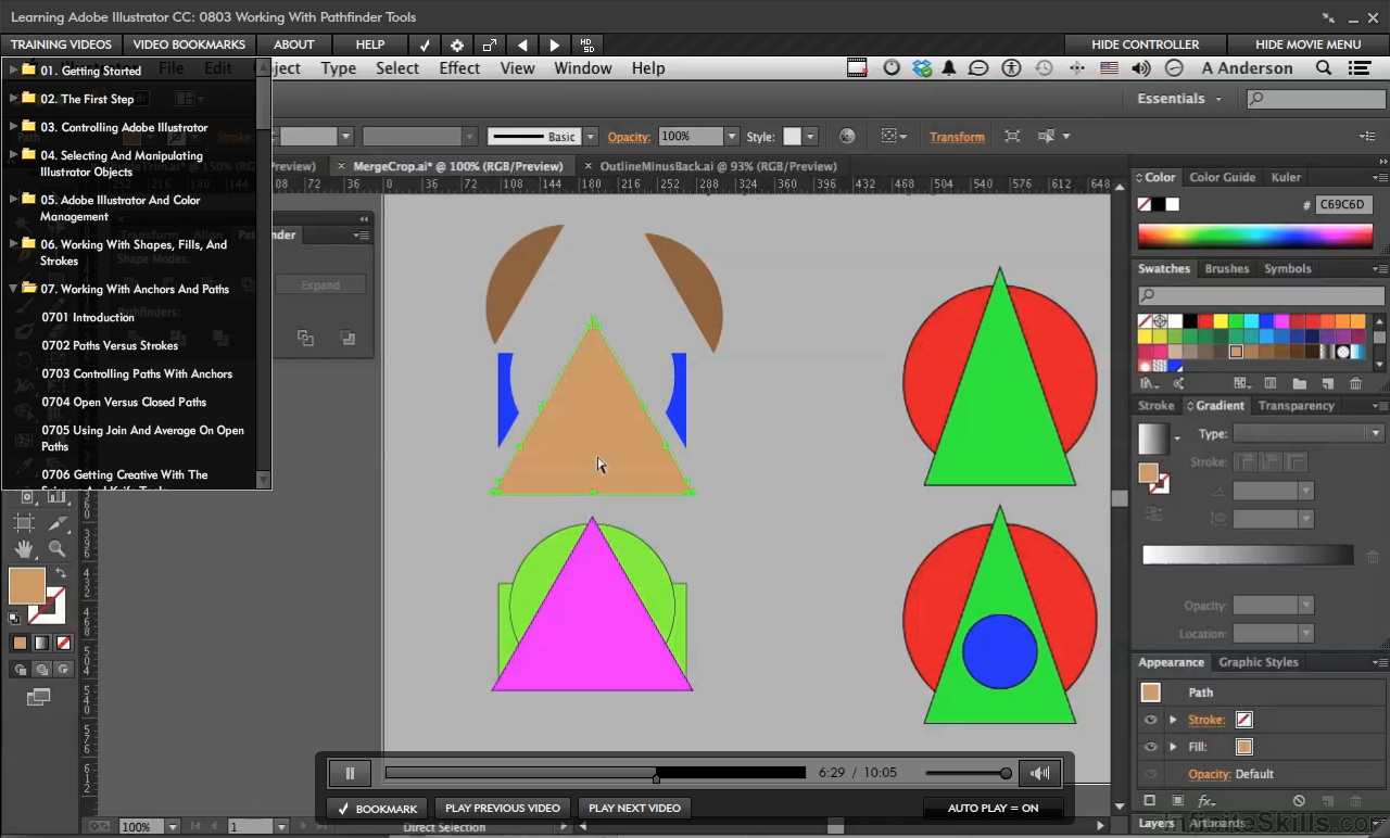 Learning Adobe Illustrator CC [Online Code]