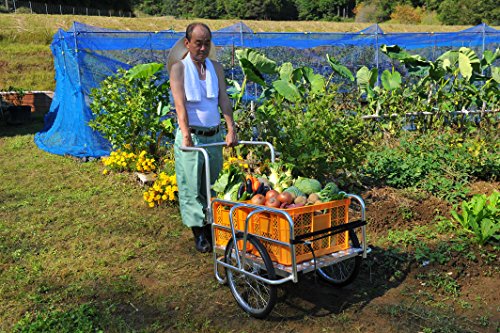 Living Out Folding Aluminum Rear Car, Compact Type, Folding Rear Car, Compact, Easy Storage, Agricultural Work, No Puncture Tires, Load Capacity 176.4 lbs (80 kg), Container Box