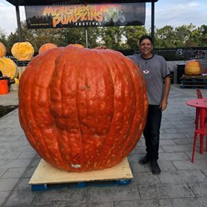 Ron Wallace's Whoppers Giant Pumpkin Seeds (5 Seeds per Package)