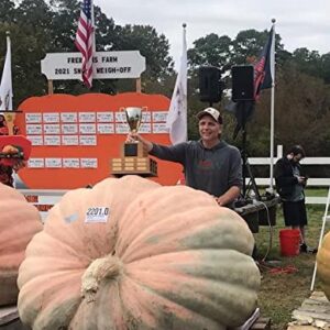 Ron Wallace's Whoppers Giant Pumpkin Seeds (5 Seeds per Package)